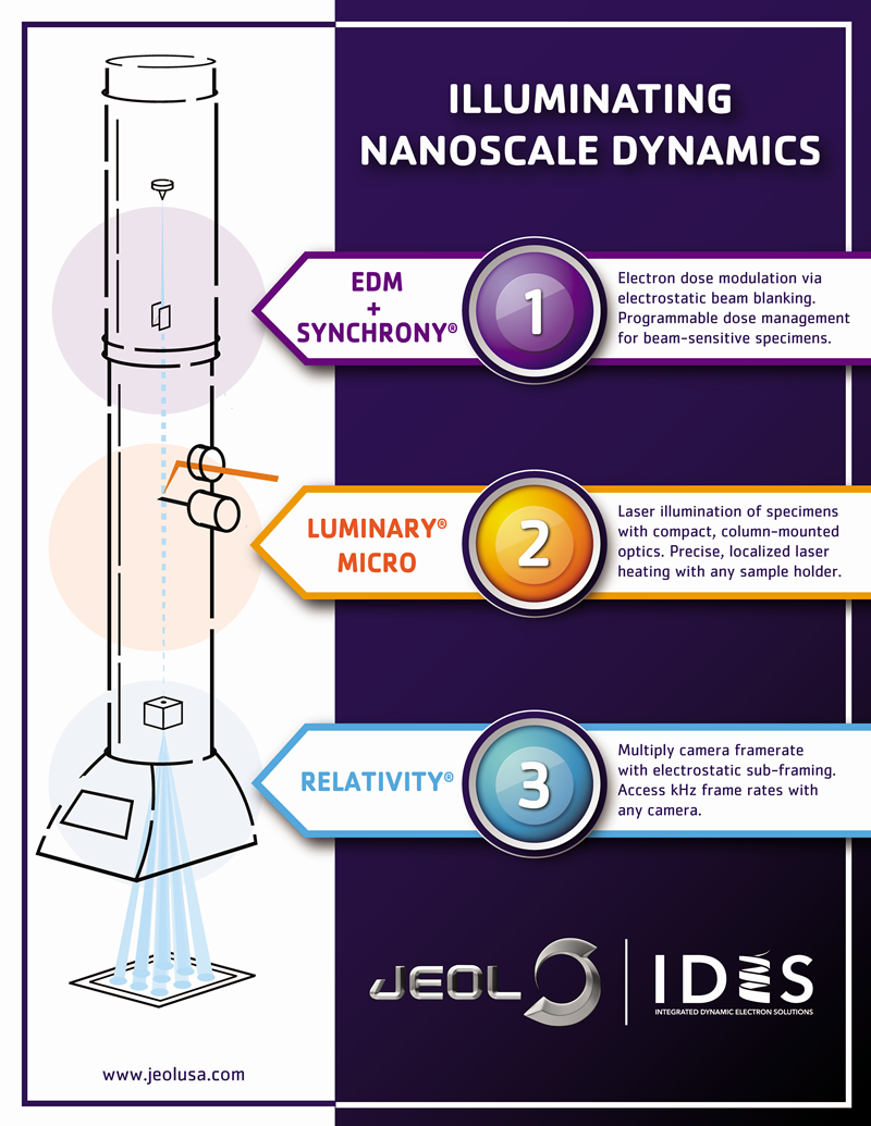 Transmission Electron Microscopes | TEM